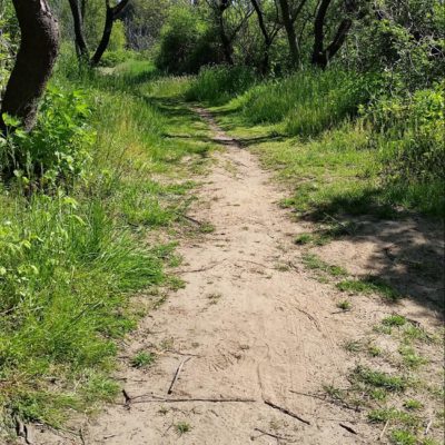 Local Trails – GROC