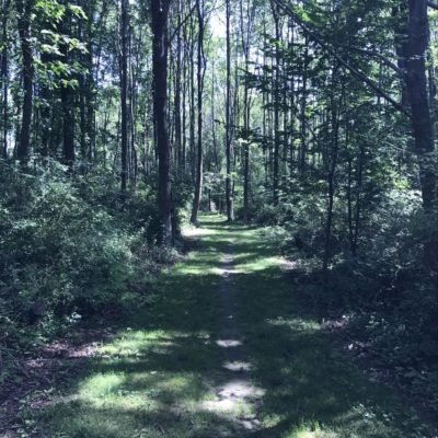 Whiting Road Nature Preserve – GROC