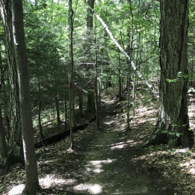 Local Trails – GROC